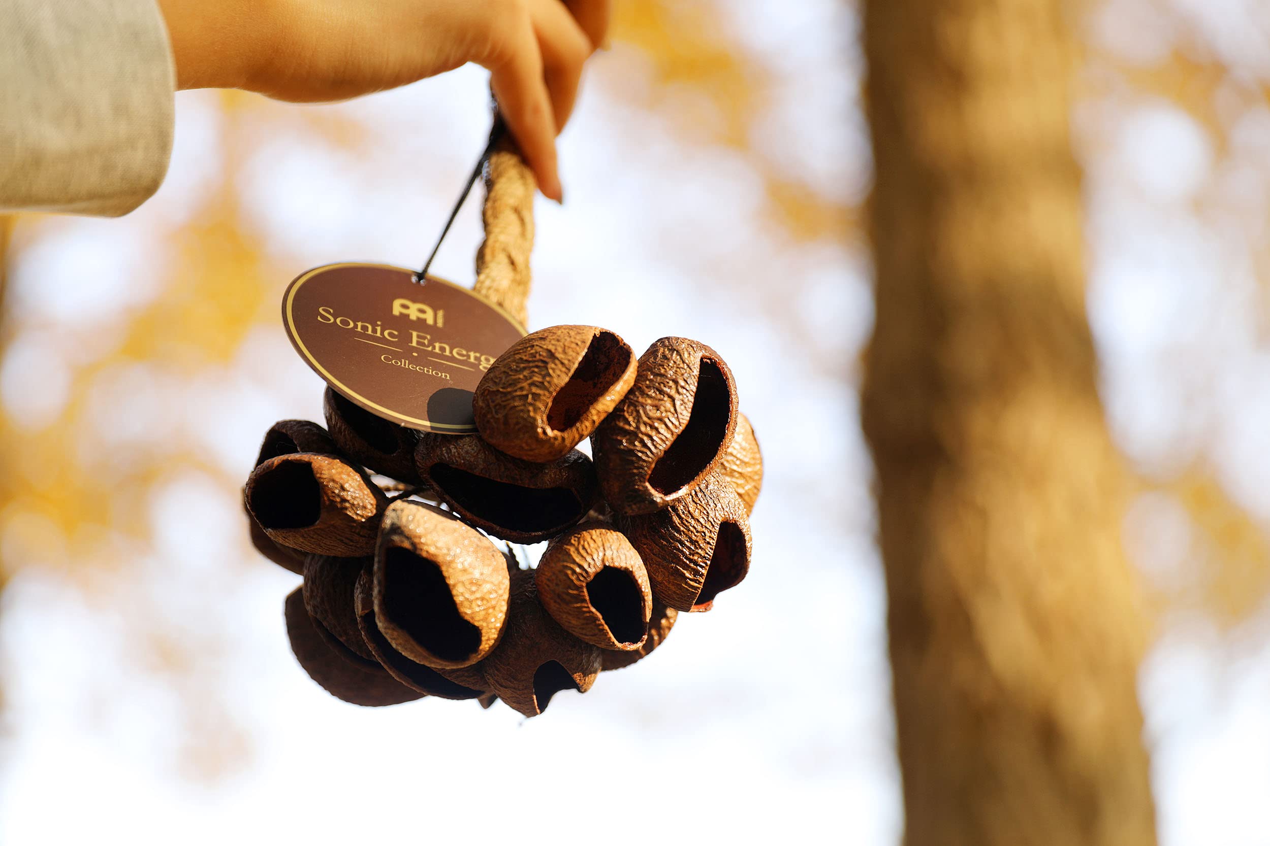Meinl Sonic Energy Seed Shell Shaker Percussion Instrument β Nature Sounds for Meditation, ASMR, Sound Therapy, Yoga