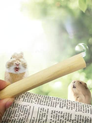 Sweet Bamboo Chew Sticks for Rabbits, Bunny Molar Treats Snack for Small Animals Hamster Chinchilla Guinea Pigs Rabbit Squirrel Natural Teeth Grinding Toys (500g/1.1lb)