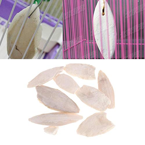 Zonster 1 Bag Cuttlebone Cuttlefish Sepia Bone Cuttle Fish Bird Food Calcium Pickstone Parrot Birds Teeth Grind Training