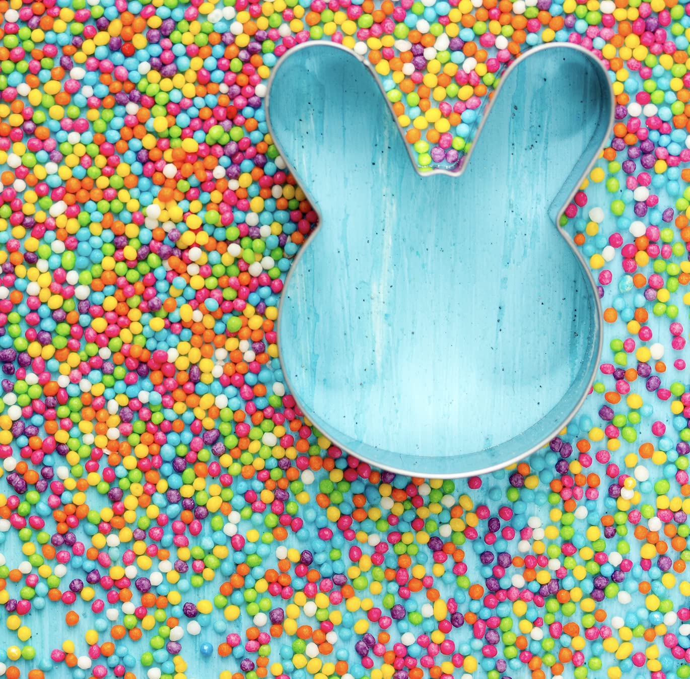 Sweet Cookie Crumbs Rabbit Head Cookie Cutter- Stainless Steel