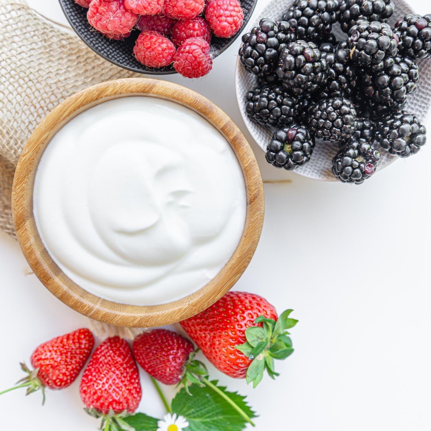 Icelandic Skyr Mesophilic Heirloom Yogurt Starter Culture