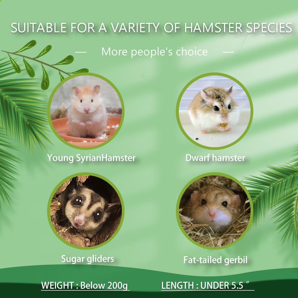 kcrygogo Hamster Maze Wood House Fun Slide House Double-Decker Hut with Stair and Exercise Chew Toys for Dwarf Gerbil Mouse Mice Rat Tiny Animals