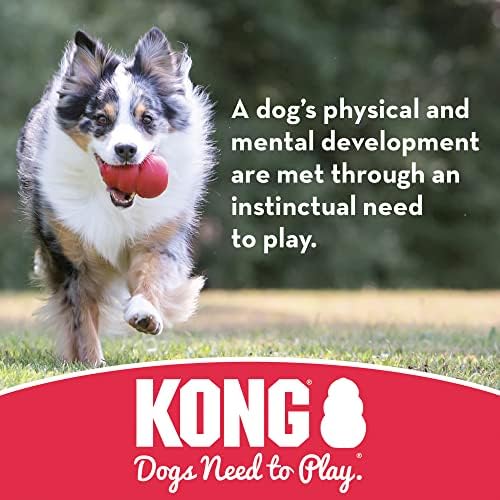 KONG Extreme Ball with Hole - Dog Fetch Toy - Durable Dog Ball Toy for Training, Interactive Playtime & More - Natural Extreme Rubber Ball for Dogs - Black - for Small Dogs