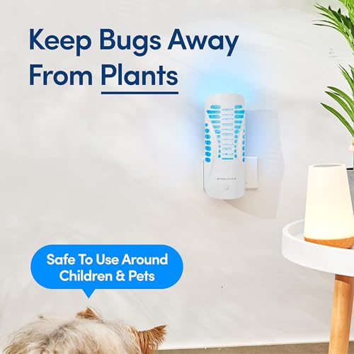 Shieldeck Flying Insect Trap - Indoor Fly Trap, Gnat Trap, and Mosquito Trap - Fruit Fly Killer and Plug in Bug Catcher - Traps with UV Light for House Indoors (1 Device + 5 Refills) - White