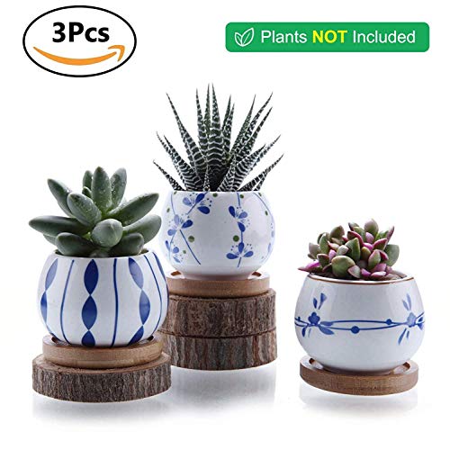 T4U 2.5 Inch Ceramic Succulent Planter Pot with Bamboo Saucer Set of 3, Cactus Plant Pot Flower Pot Container Planter Gift for Home Office Indoor Decoration Blue and White Pots