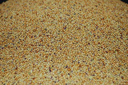 Tri-Clover by Eretz - Three Part Blend of Clovers Providing Beauty, Cover, and Natural Attractant. No Coatings or Fillers, Premium Seeds (1lb)