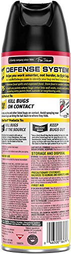 Raid Ant & Roach Killer Lemon Scent, 17.5 OZ (12)