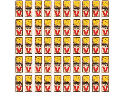 Victor EZ set mouse trap (Pack of 50)