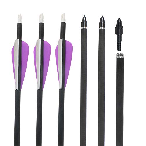IRQ Archery 31Inch Carbon Arrow Practice Hunting Arrows with Removable Tips for Compound & Recurve Bow(Pack of 12)