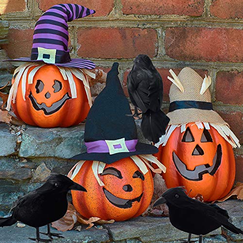 Realistic Crow, 6 PCS Halloween Black Feathered Crow Decoys Ravens Outdoor Halloween Decorations Props Décor, Standing Flying Birds for Tree Haunted House Graveyard Tombstone Display