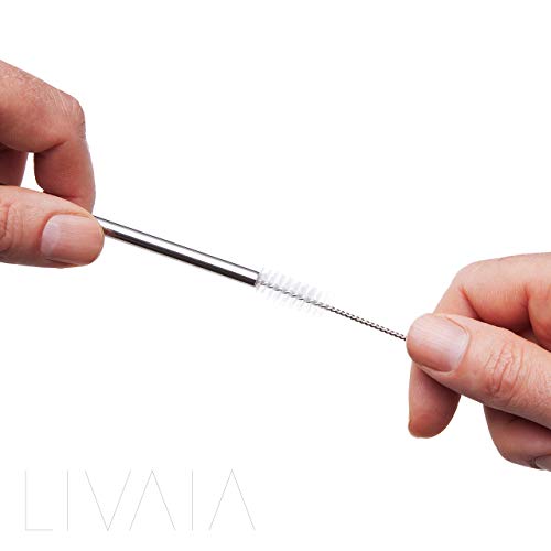 Reusable Straws with Case: 8 Stainless Steel Straws with Straw Cleaning Brush in 2 Sizes β Metal Straws Reusable Stainless Steel β Metal Straw LIVAIA