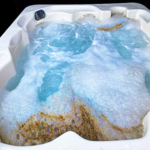 Spa System Flush Super-Cleaner: Hot Tub & Jetted Whirlpool Bath Oily Grime Plumbing Purge 16oz. (2)