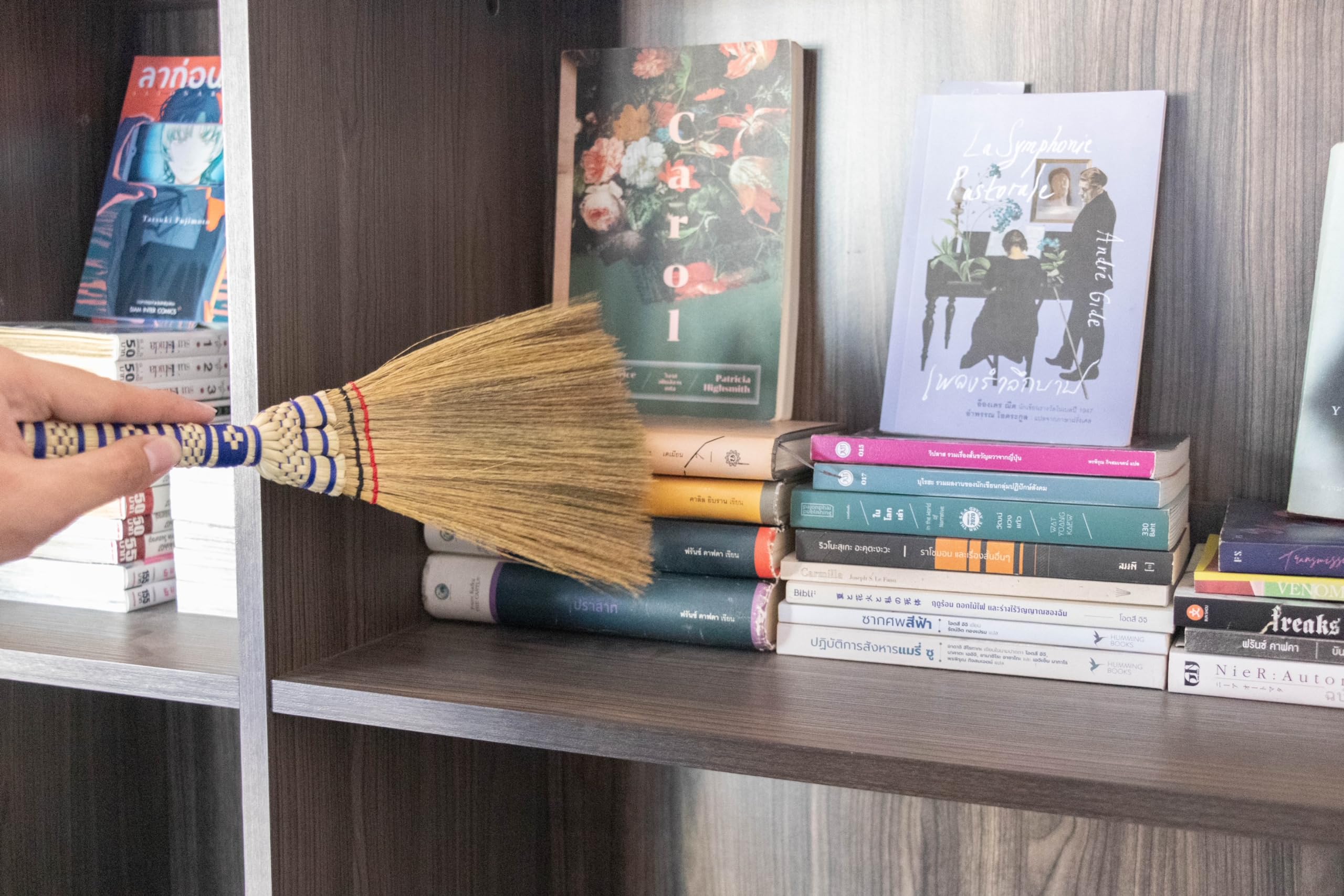 SN SKENNOVA – Small Whisk Broom Handheld Brush Whisks Away Dust, Dirt & Debris Brush Head 9.5-11" L with Nylon Hanger for Easy Storage Perfect for Inddor Outdoor and Car