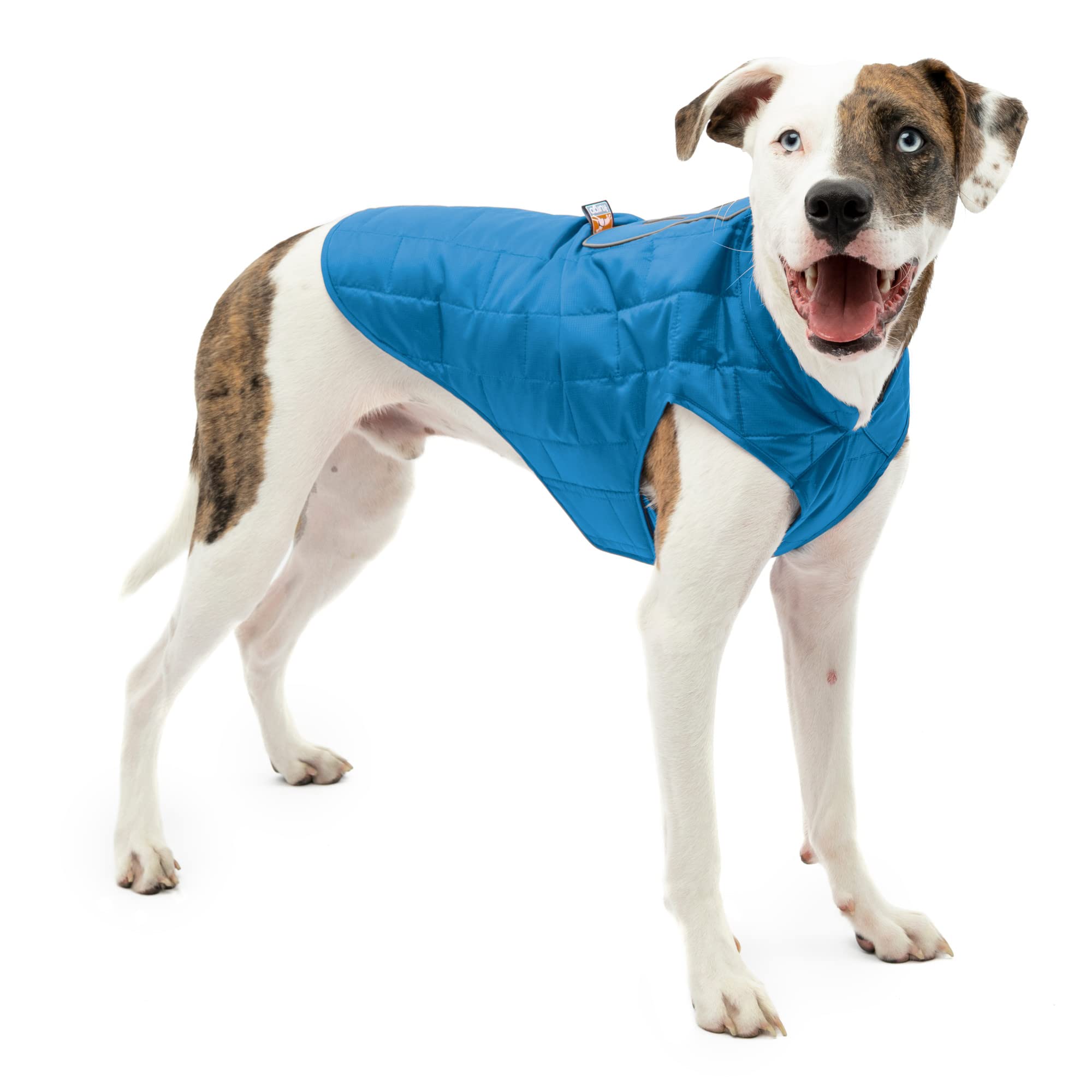 Kurgo Dog Jacket | Reversible Winter Coat for Dogs | Fleece Vest for Pets | Reflective | Wear with Harness | Water Resistant Loft Jacket | For Small Medium Large Pets (Blue/Orange, Large) (K01849)