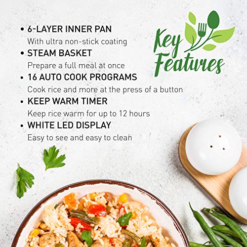 Panasonic SRJMY188 10 Cup Electronic Rice Cooker/Warmer, Champagne Gold