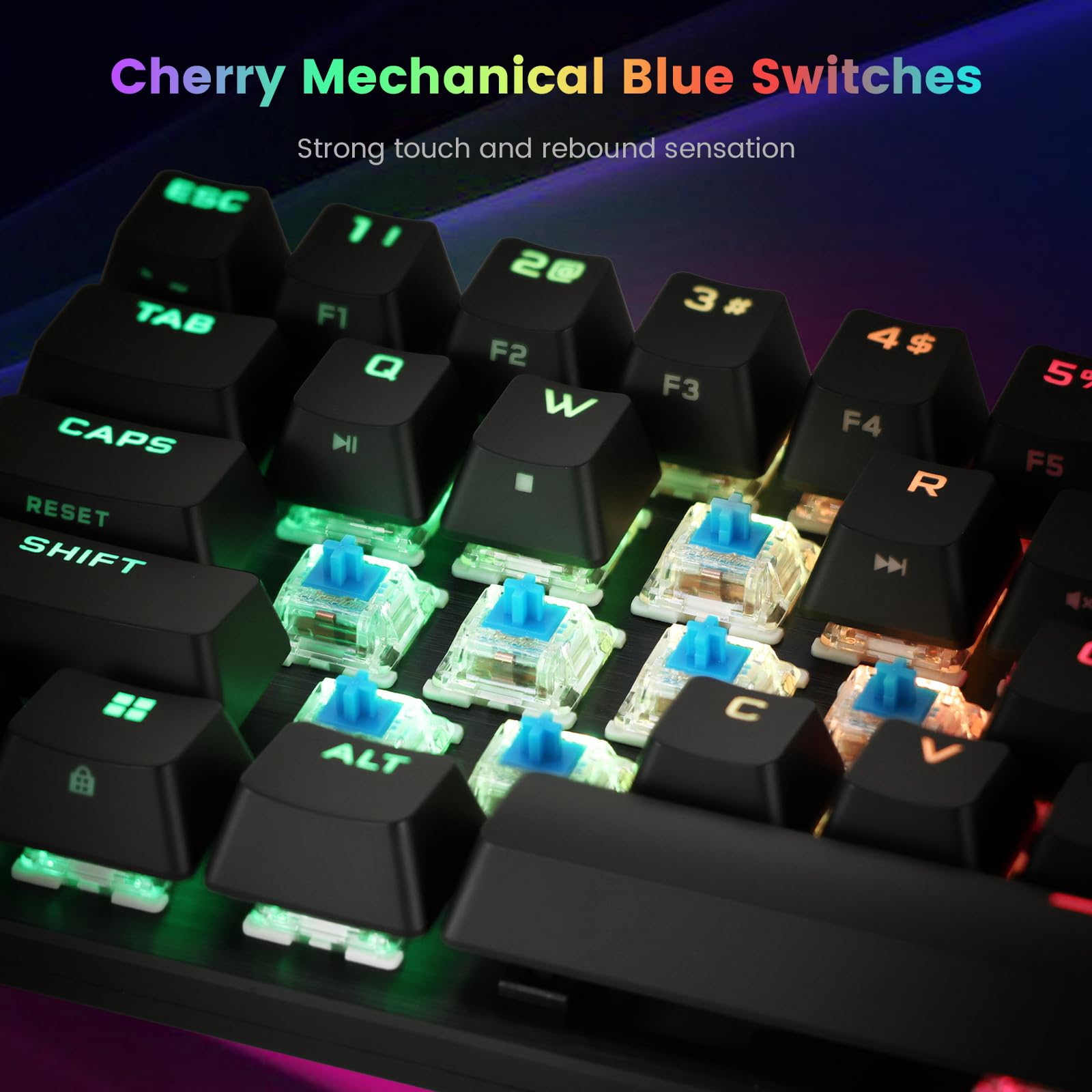 TIETI Wired Mechanical Keyboard,RGB Backlit Ultra-Compact 65% Layout 67Keys Gaming Keyboard,Hot Swappable Keyboard,Gateron Red Switch