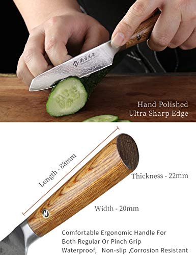 Paring Knife 3.8Inch Damascus Steel Knife Professional Super Steel VG10 Comfortable Ergonomic Wood Grain Handle Very Sharp Paring Knives for KitchenâGift Box