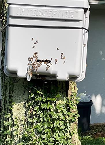 THE INTERCEPTOR PRO Honeybee Swarm Trap - NO FRAMES -UNASSEMBLED (10 minute assembly) - Also includes tree strap & hooks.