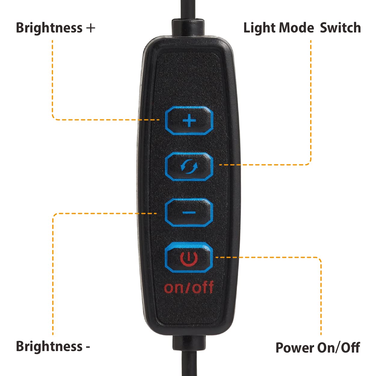 ONEXT USB LED Desk Lamp with Phone Holder Flexible Gooseneck 3 Color Modes 10 Brightness Dimmable for Reading Nightlight Work