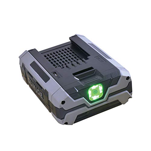 Sun Joe iON100V-2.5AMP 100-Volt Max 2.5-Amp Battery w/Built-in USB Port