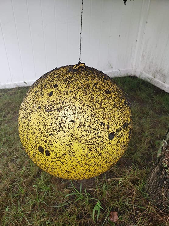 Title Gnat Ball - Replacement - Gnats, House Fly, No-See-Um, aphids whiteflies, and Love Bug Trap