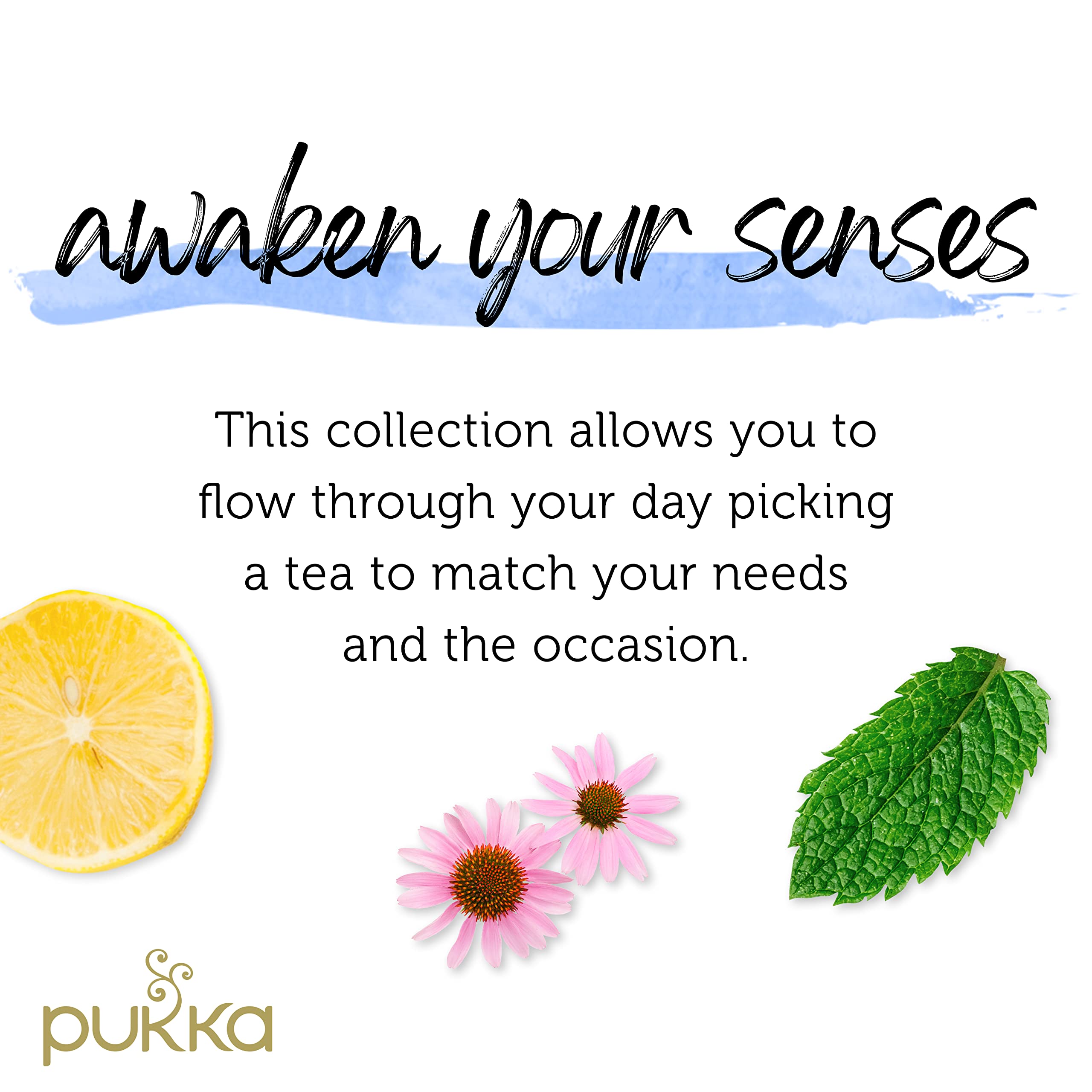 Pukka Tea Variety Pack, Organic Herbal Tea Bags, Five Flavors; Elderberry & Echinacea, Lemon, Ginger & Manuka Honey, Night Time, Three Mint and Detox, (Pack of 3), 60 Tea Bags