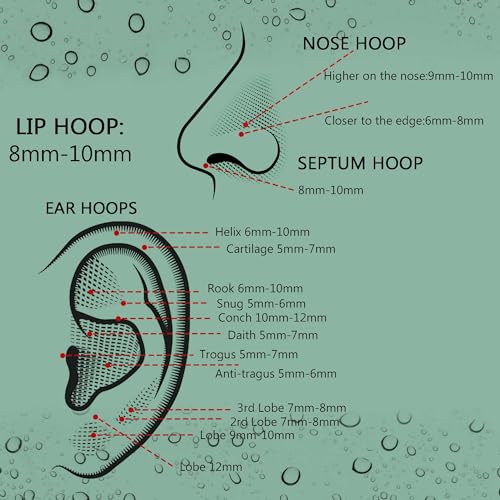 Jstyle 5 Pcs a Set 316L Stainless Steel Septum Piercing Nose Hoop Clicker Ring Hypoallergenic 16G 18G 20G