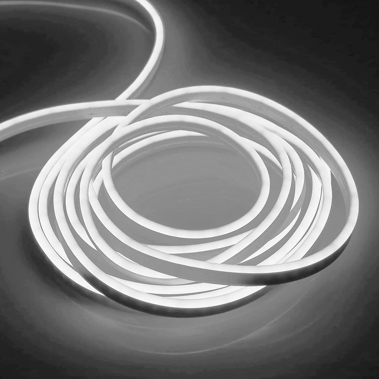 LanM Epoch Neon Flex Strip Light