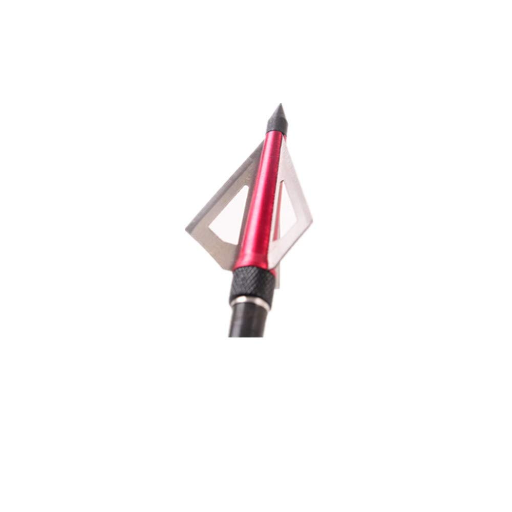 LIEYING 10 pcs Archery Hunting Broadheads 100 Grain 3 Blade Broad Screw Tips Arrow Heads for Shooting Training (10PCS,Red)