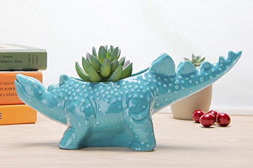 VanEnjoy 12 inches Cute Cartoon Dinosaur Ceramic Succulent Planter, Water Culture Hydroponics Bonsai Cactus Flower Pot,Air Plant Vase Holder Desktop Decorative Organizer (Stegosaurus, Blue)