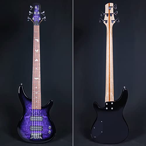 Lindo PDB 5-String Purple Dove Electric Bass Guitar and Hard Case