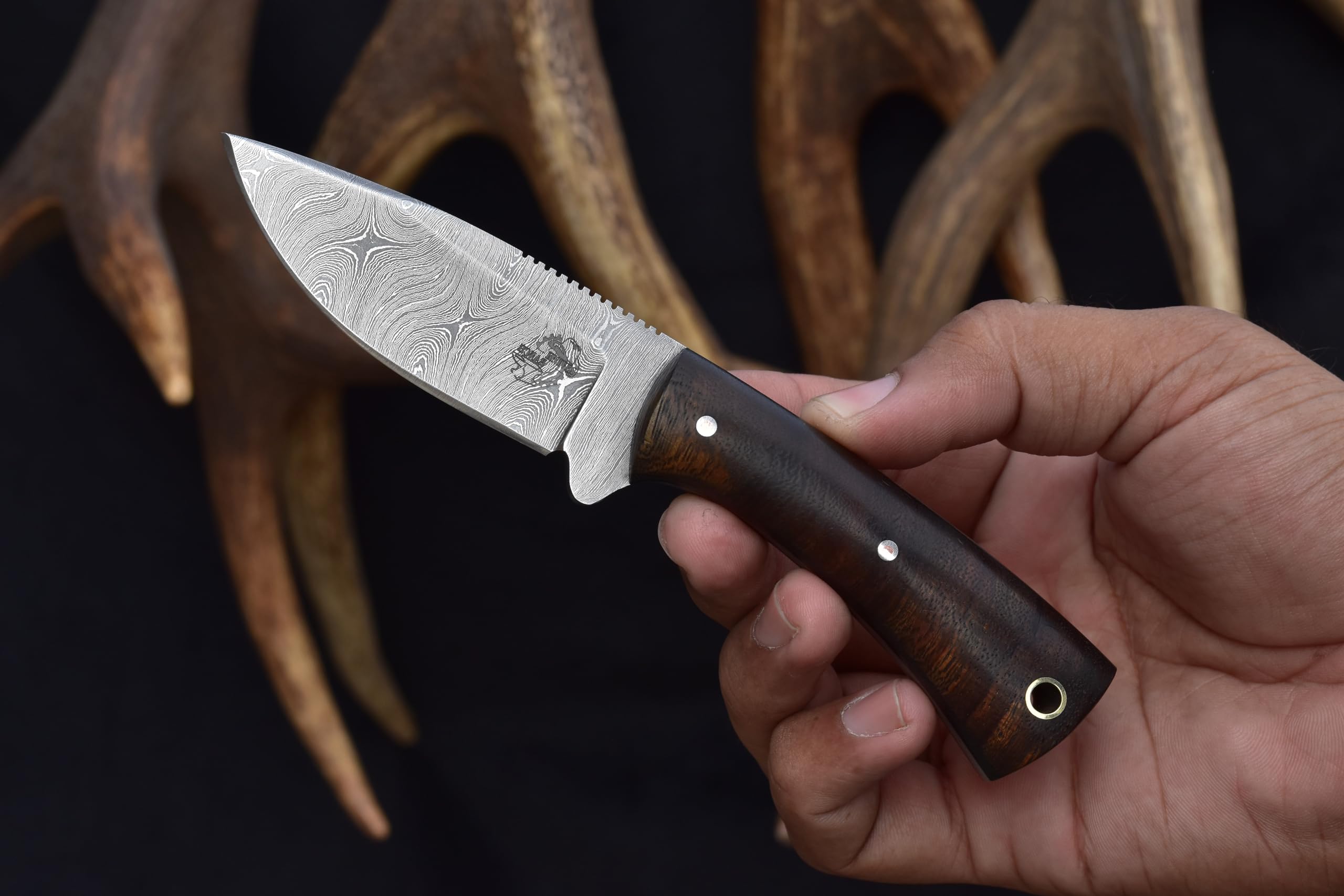 Knives Ranch Fixed Blade EDC Knife with Horizontal Carry Sheath β Small Hunting Knife β Damascus Skinning Knife β Cowboy Knife with Leather Sheath Stabilized Rosewood Handle (4402-IRW)