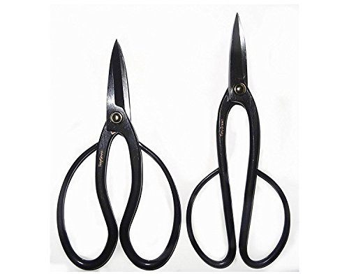 TinyGreen Japan Bonsai Tool Set: Shear Japanese Butterfly and Long Handle Ashinaga Shears Professional Grade