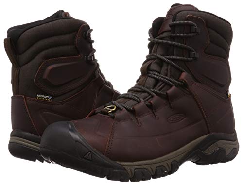 KEEN mens Targhee Lace High Polar Waterproof Insulated Snow Boots, Cocoa/Mulch, 10.5 US