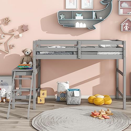 LETSHOME Twin Loft Bed with Platform, Wooden Low Height Loft Bed Frame with Ladder, Metal Loft Bed Frame for Kids Teens Adults, Twin Size for Bedrooms