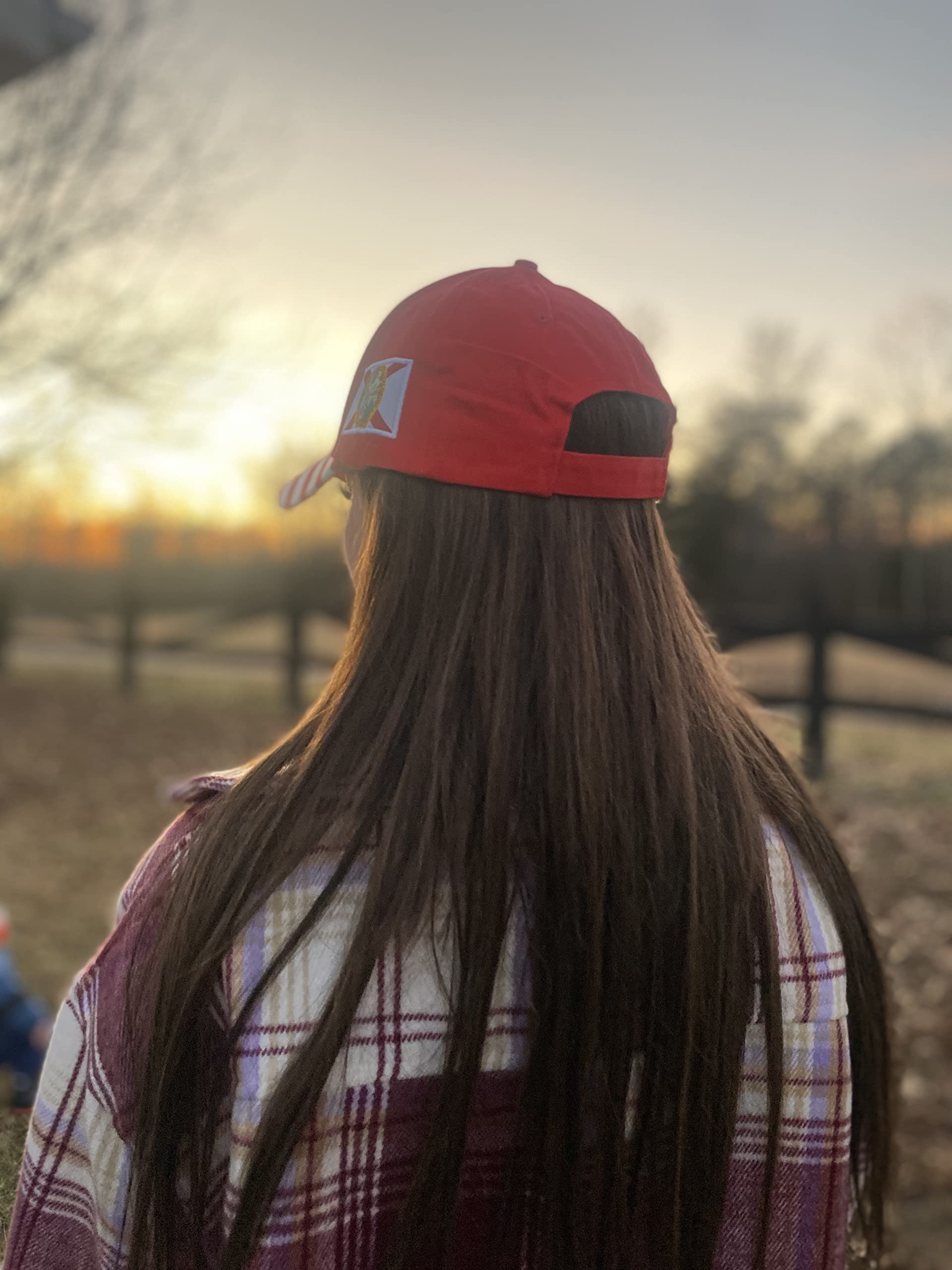 Ron Desantis 2024 Hat Make America Florida Flamingo Election Cap Men Women Adjustable Dad Sun Summer Golf Trucker Hat