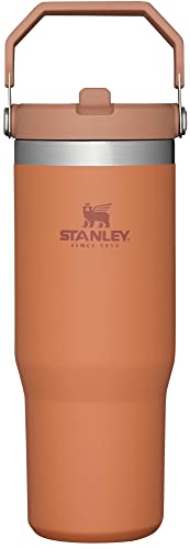 Stanley IceFlow Stainless Steel Tumbler with Straw - Vacuum Insulated Water Bottle for Home, Office or Car - Reusable Cup with Straw Leakproof Flip - Cold for 12 Hours or Iced for 2 Days (Ochre)