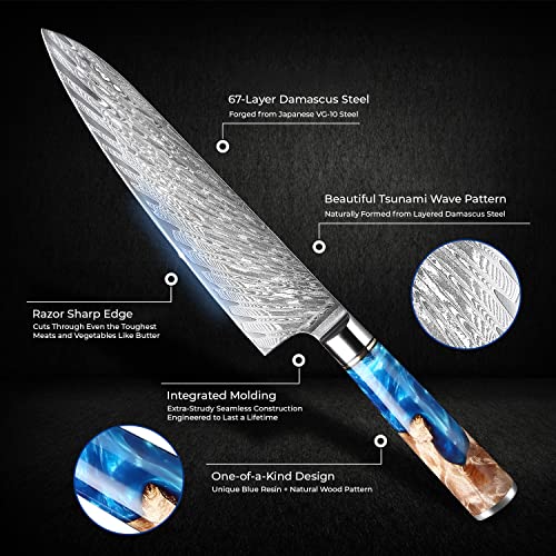 SENKEN 13-Piece 67-Layer Damascus Steel Kitchen Knife Set - "Tsunami" Collection - 7-Piece Chef Knife Set with 6 Matching Damascus Steak Knives