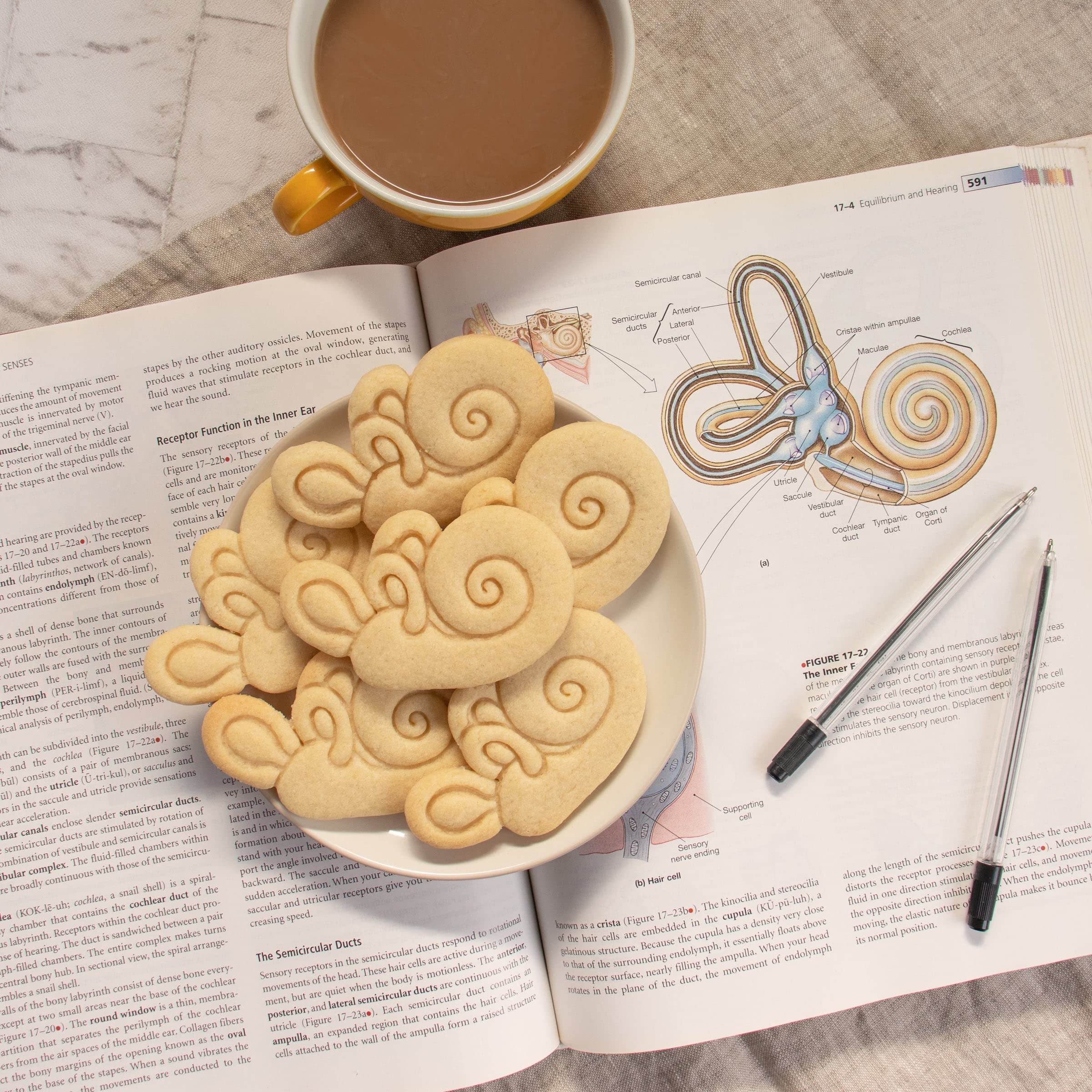 Set of 2 Ear cookie cutters (Designs: Anatomical Human Ear and Cochlea Inner Ear), 2 pieces - Bakerlogy