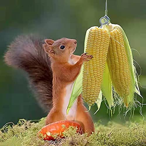 PFNRTH Bungee Squirrel Feeder for Outside, Cob Holder, Attracts Squirrel, Chipmunk and Other Backyard Wildlife