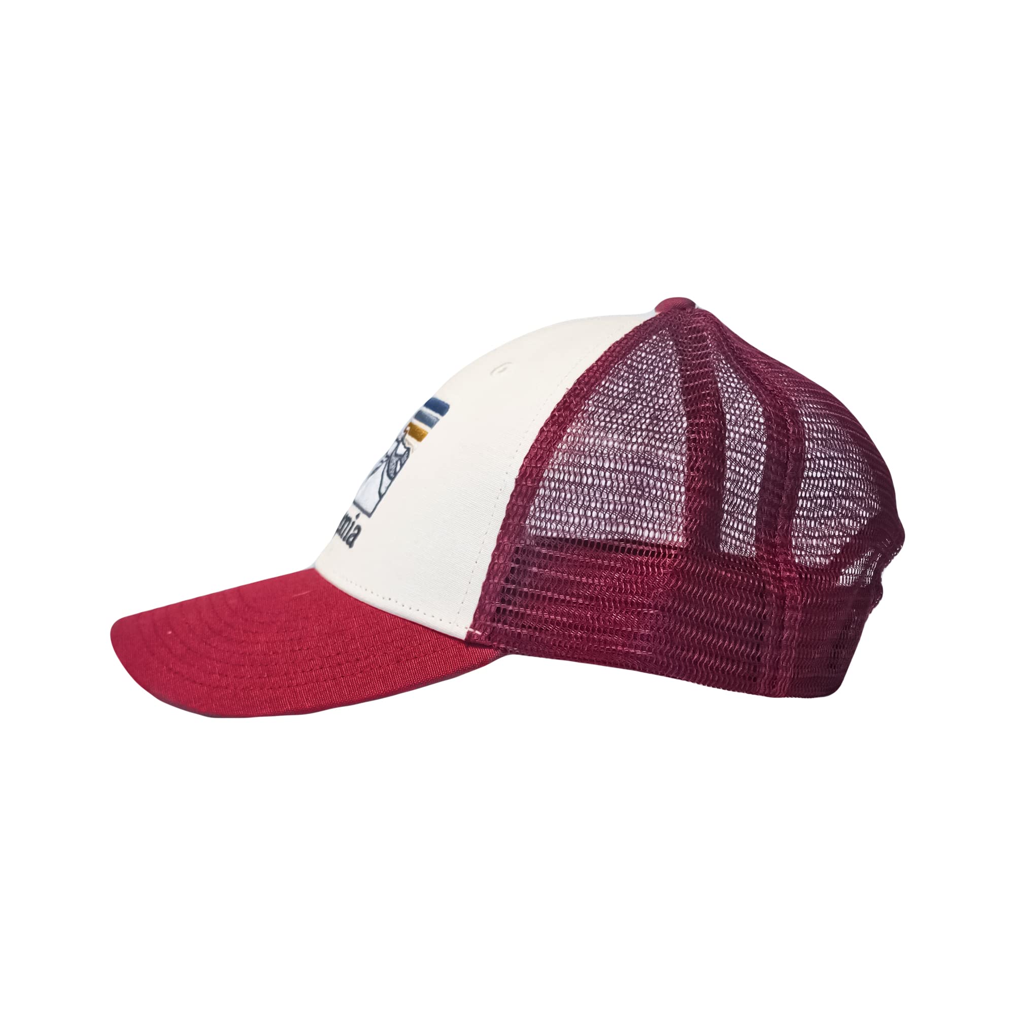 Patagonia Line Logo Ridge LoPro Trucker Hat (White W/Sequoia Red) One Size