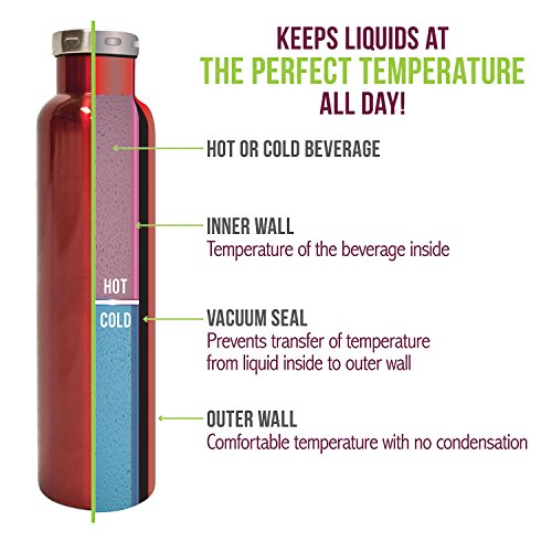 Seven Fifty Shiraz Vacuum-Insulated Stainless Steel Wine Growler - 750 mL Capacity