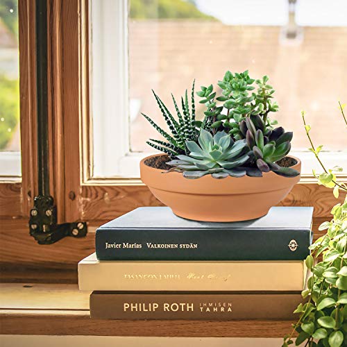 Terra Cotta Pots, Laergin 6.43 Inch Shallow Terra Cotta Clay Pots with Drain Hole Terra Cotta Plant Pot with Drainage Hole, Ceramic Plant Pots for Indoor/Outdoor Plants(6 Pack)