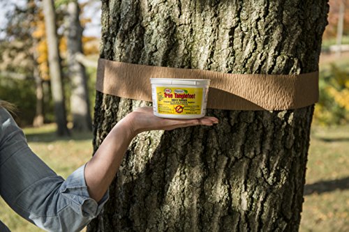 Tanglefoot Insect Barrier (Tub), 15 oz.