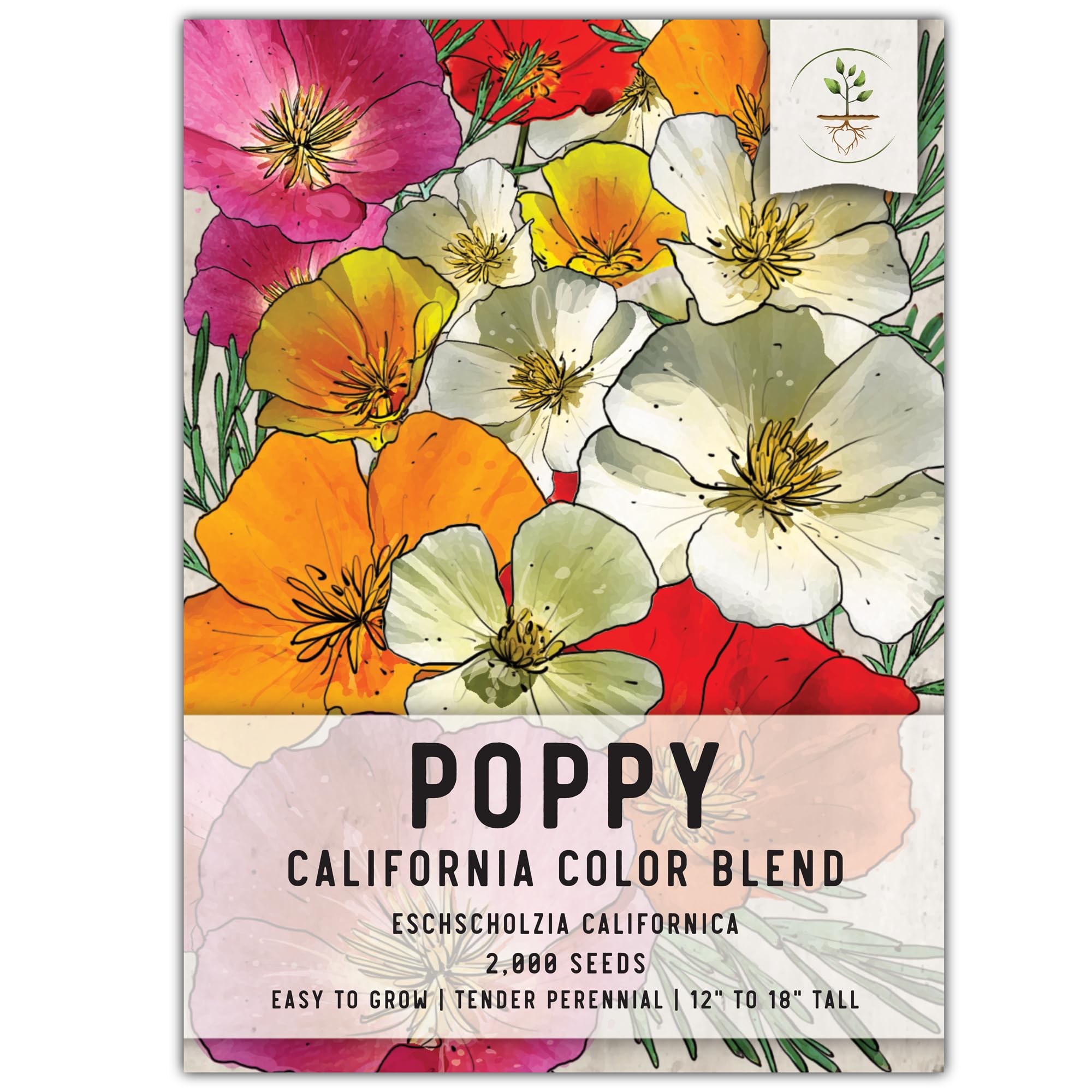 Seed Needs, California Poppy Seeds - 2,000 Heirloom Seeds for Planting Eschscholzia californica - Mixed Colors Attracts Butterflies, Bees & Other Pollinators (1 Pack)