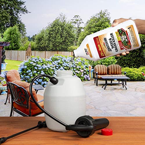 Spectracide Weed And Grass Killer Concentrate 40 Ounces, Use On Patios, Walkways And Driveways