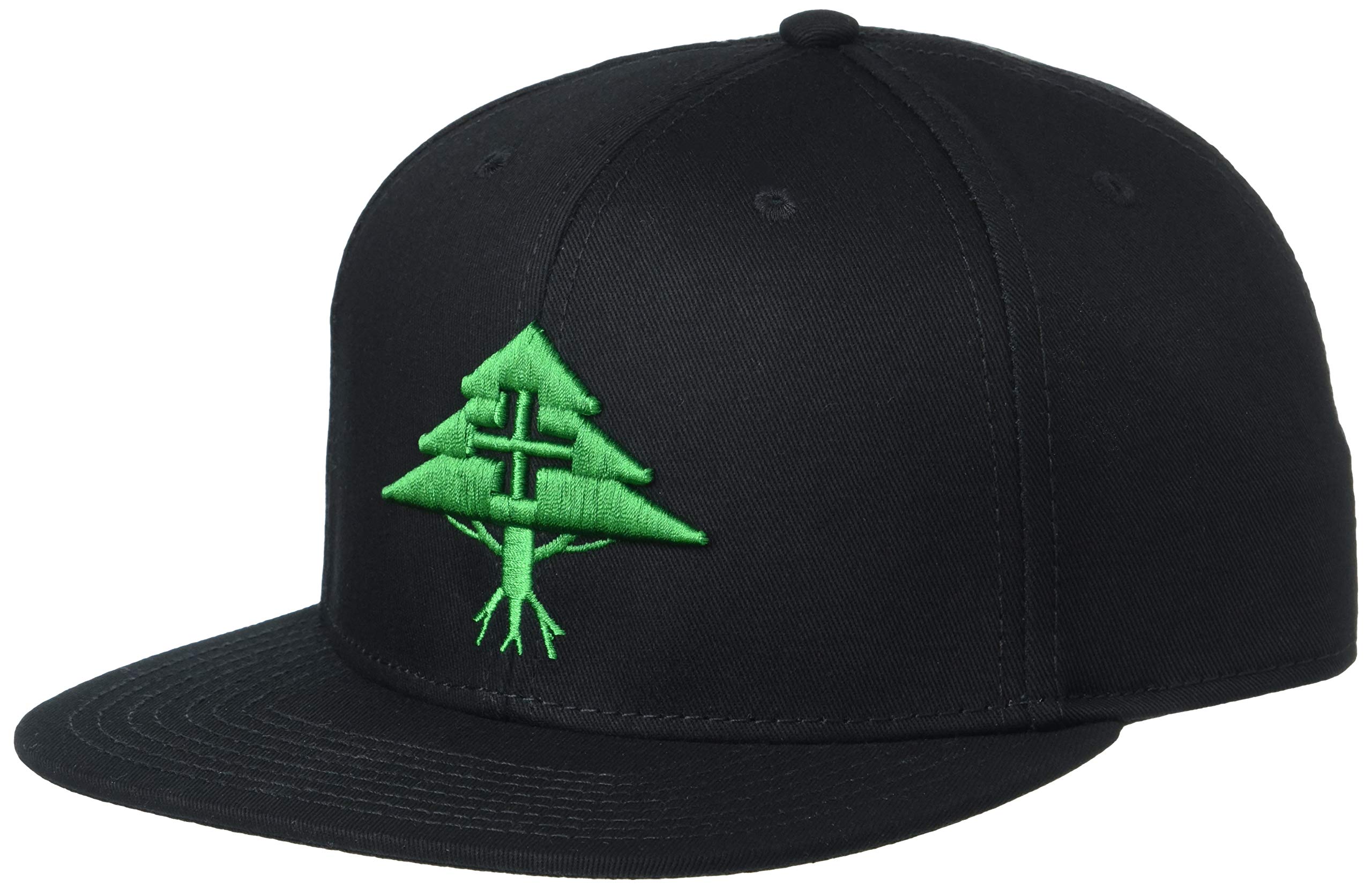 LRG mens Lrg Men's Lifted Research Group Logo Flat Bill Snapback Hat, Black/Green, One Size US