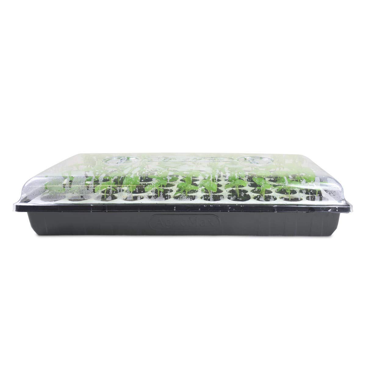 HTG Supply Floating Seed Starter Germination Kit with Tall Humidity Dome, Root Plugs & Heat Mat
