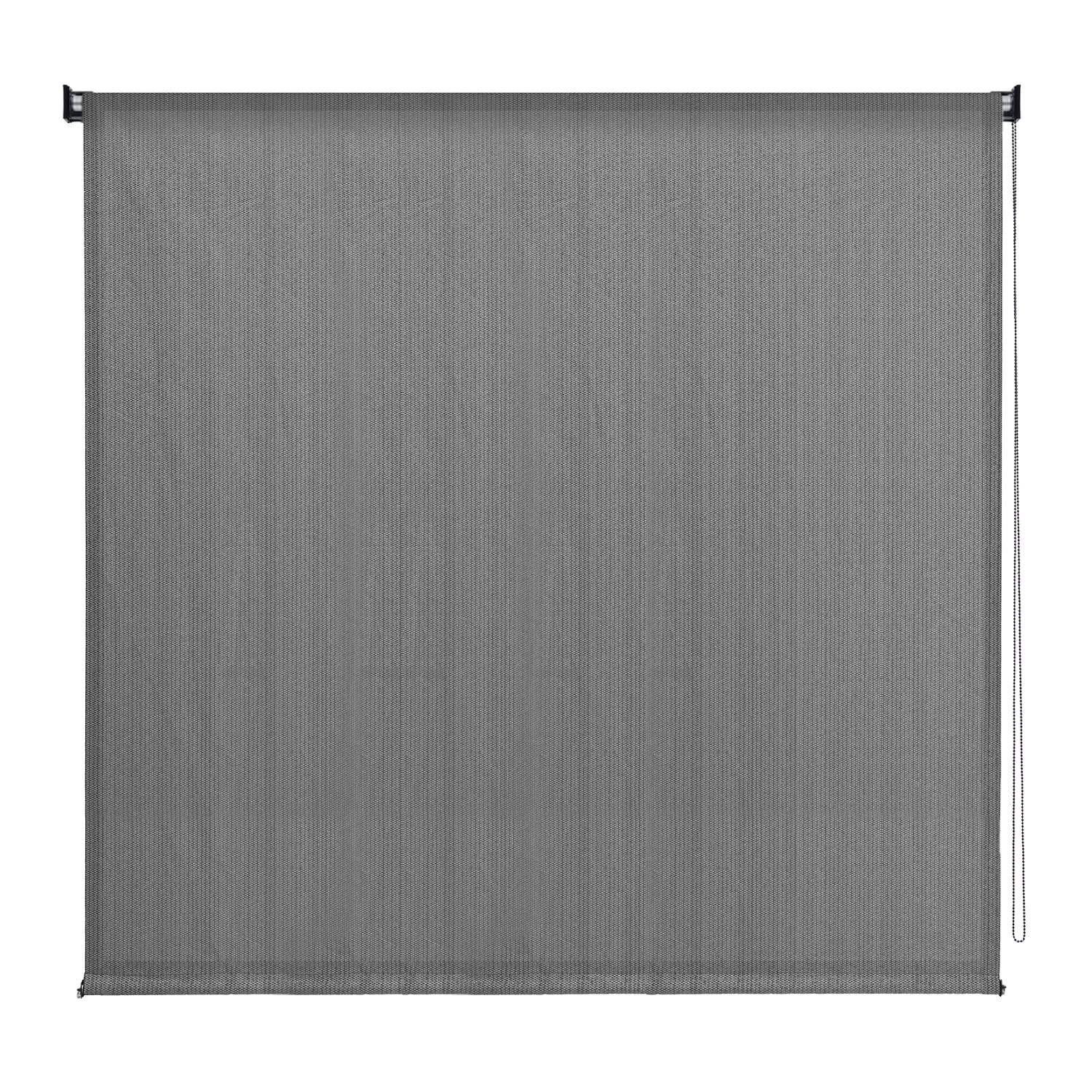 VICLLAX Outdoor Roller Shade, Patio Cordless Blinds Roll Up Shade (8' W X 8' L), Brown