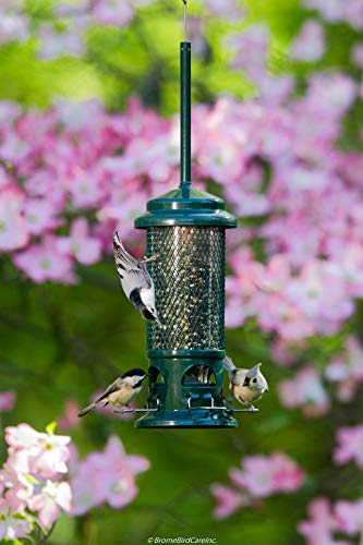 Squirrel Buster Standard Squirrel-proof Bird Feeder w/4 Metal Perches, 1.3-pound Seed Capacity, garden green